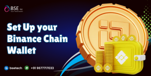 Set Up your Binance Chain Wallet | BSEtec